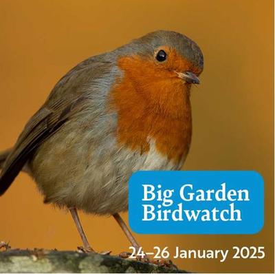 Big Garden Birdwatch 2025 | charlbury.info